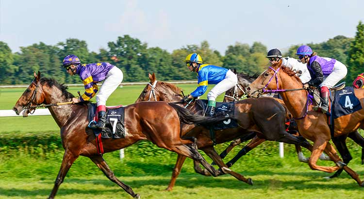 The Best Ideas for an Office Melbourne Cup Party